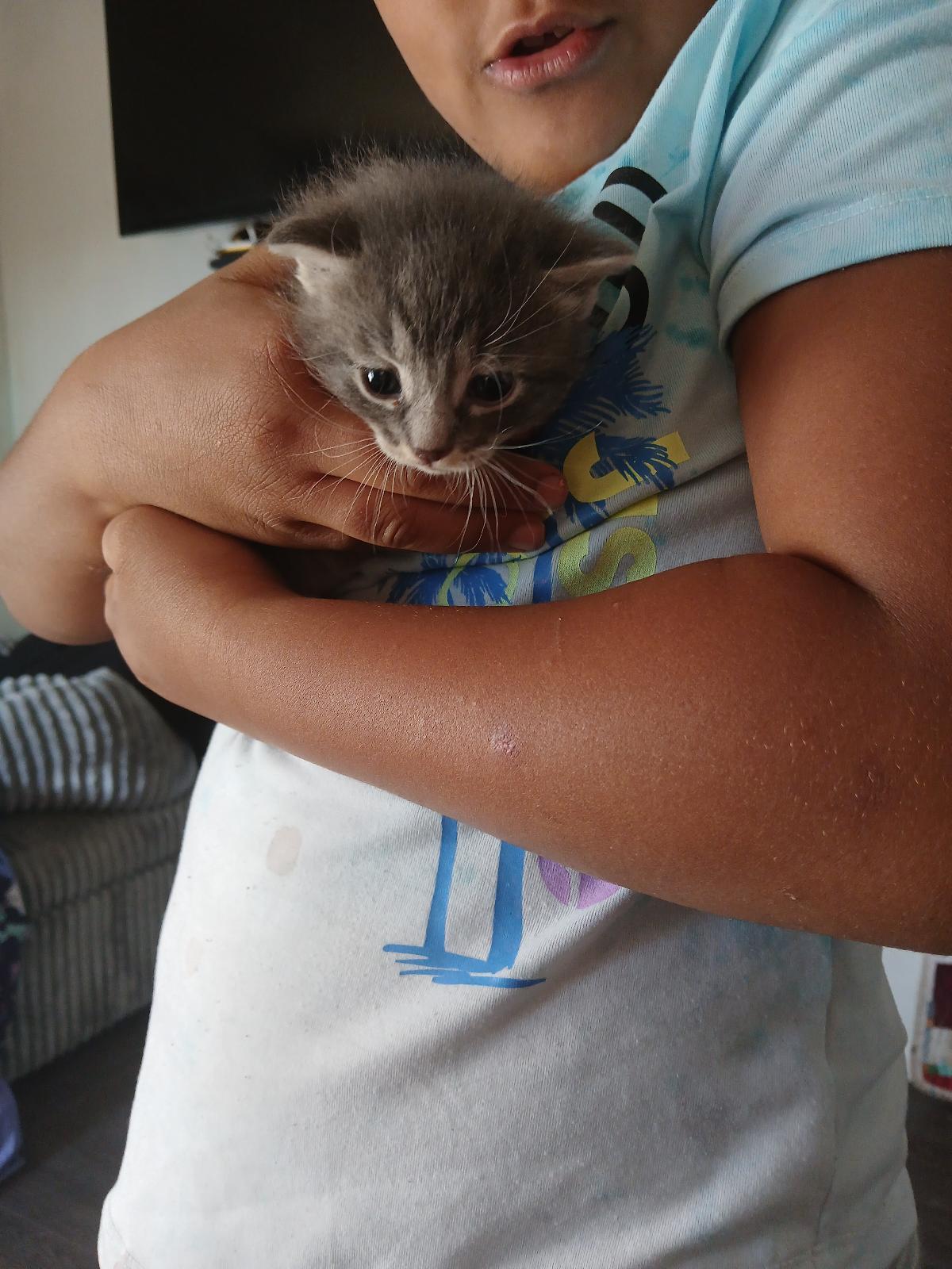 RiverBender.com - Your #1 Source for Local News, Sports, Community ...