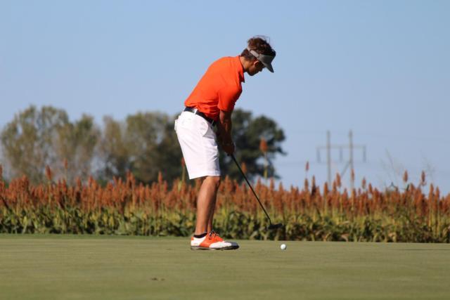 Tyrell earns medalist honors, Tigers advance to sectional as team ...