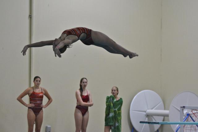 Tigers girls swim team continues to progress with dual win over Chatham ...