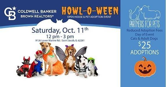 Howl-O-Ween Event Supports Local Animal Shelter with Games, Food, Music ...