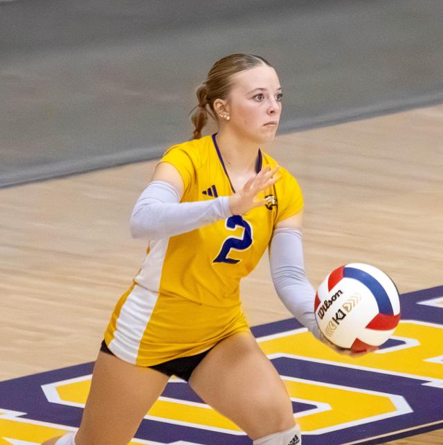 Addison Jeffery Leads Civic Memorial To Narrow Volleyball Victory ...