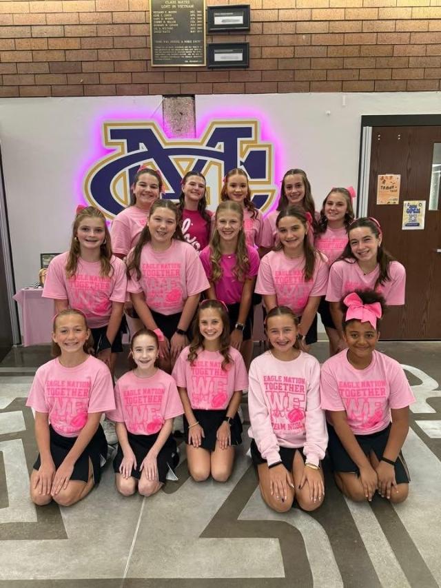 Civic Memorial Hosts Inspiring Pink Out Night For Breast Cancer ...