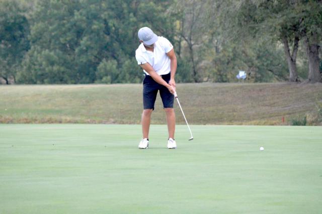 TIED FOR FIRST AT STATE: Edwardsville golfer Ben Tyrell knotted with ...