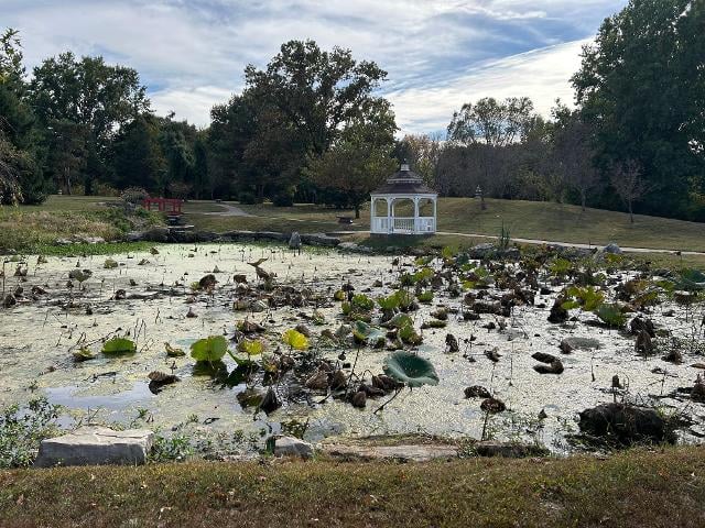 Alton Parks and Rec Director Promises "More Routine Maintenance" at ...