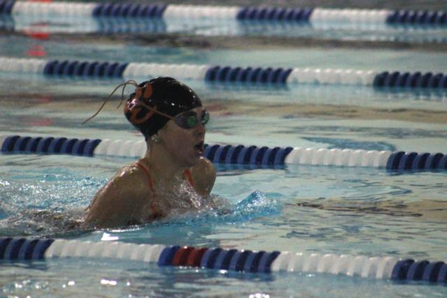 EHS recognizes seniors in final dual home swim meet | EdGlenToday.com