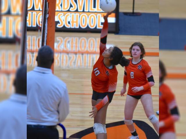 Tigers Open Postseason With 25-11, 25-9 Win Over Granite City In Class ...