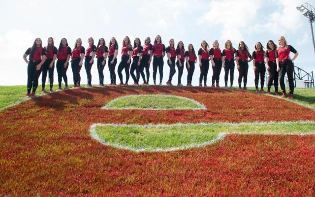 SIUE softball kicks off in February | RiverBender.com