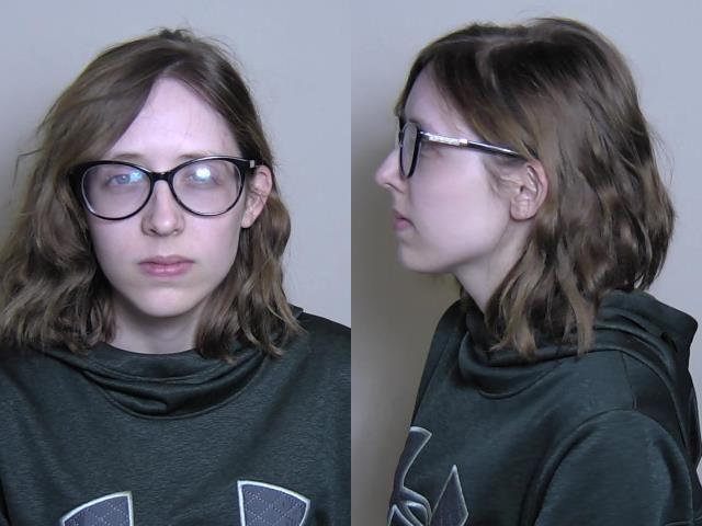 Woman Enters Guilty Plea for False Personation of an Attorney ...