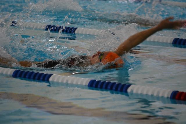 EHS girls swim team has final regular season meet at home Saturday ...