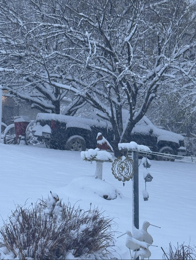 Region Sees Record Early Snowfall in November | RiverBender.com