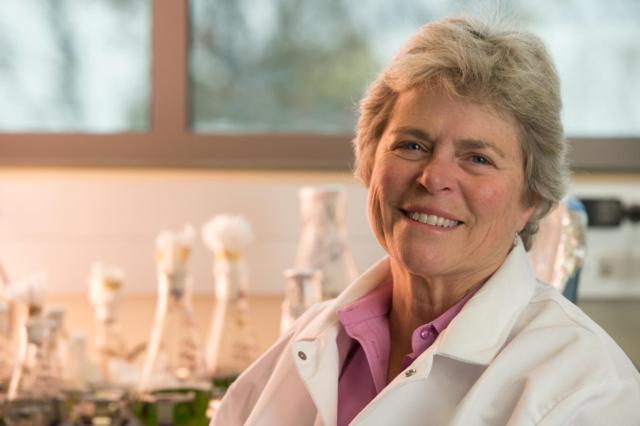 Enhancing the Undergraduate Experience: SIUE researcher transforms ...