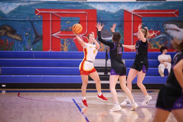 Roxana Lady Shells Struggle Against Tough Breese Central Squad ...