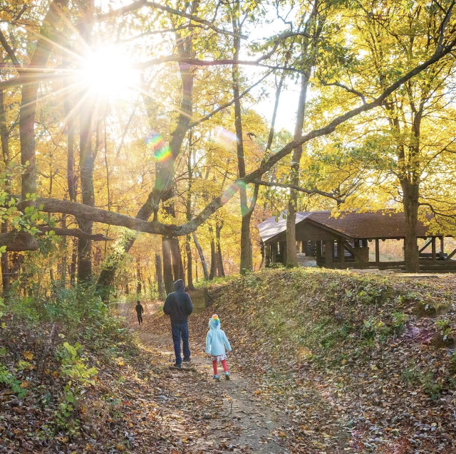 Ring In The New Year With A First Day Hike At An Illinois Park ...