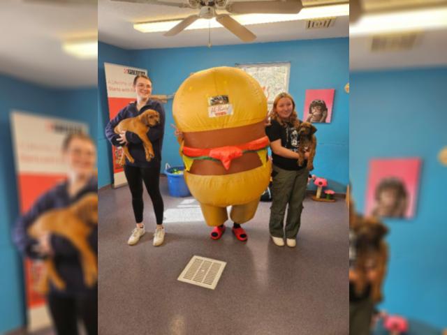 Hi-Pointe Drive-In In Edwardsville To Host Fundraiser For Local Warming ...