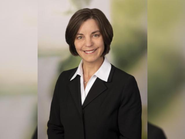 HSHS Names New President and CEO of Illinois Physician Enterprise ...