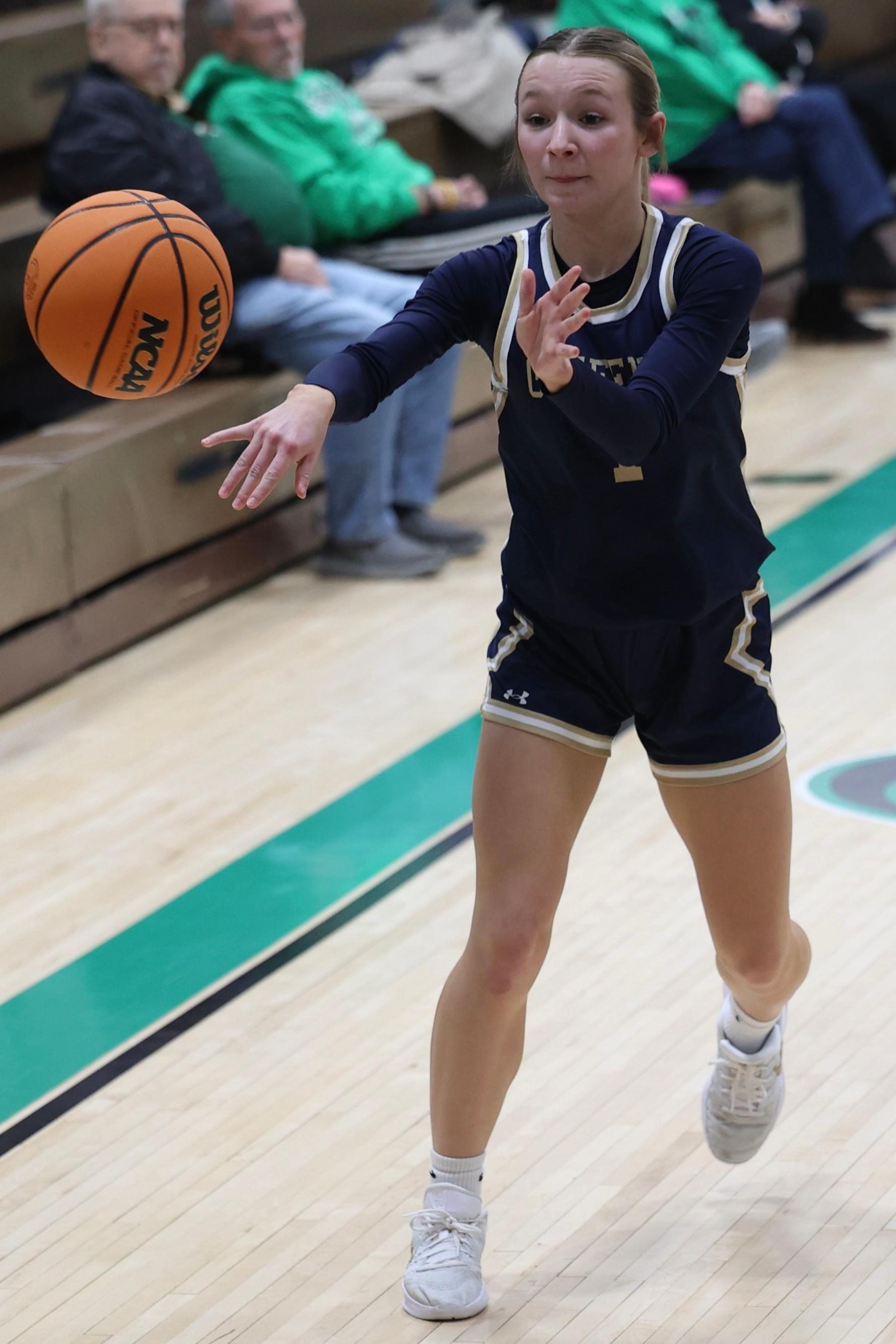 Griffins Roll Past Granite City In Lady Hawk Quarterfinals ...