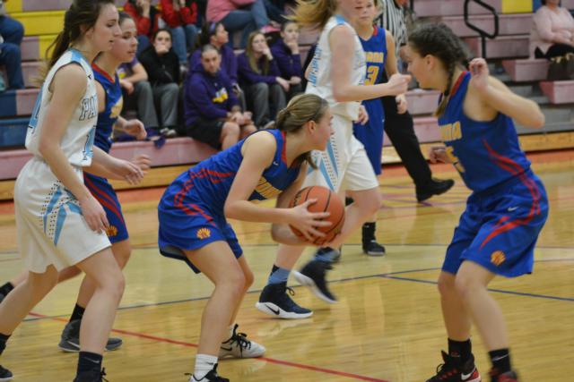 Jersey's girls show strength in Roxana Regional triumph over Shells ...