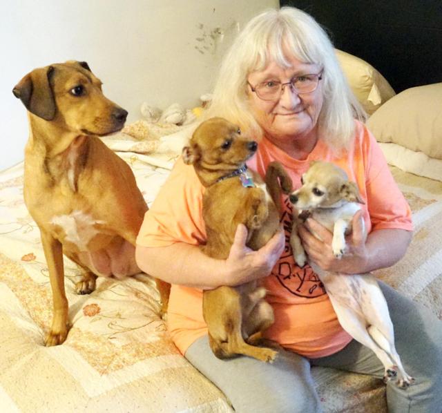 Robotic Surgery ‘Wonderful’ For Cancer Patient | EdGlenToday.com