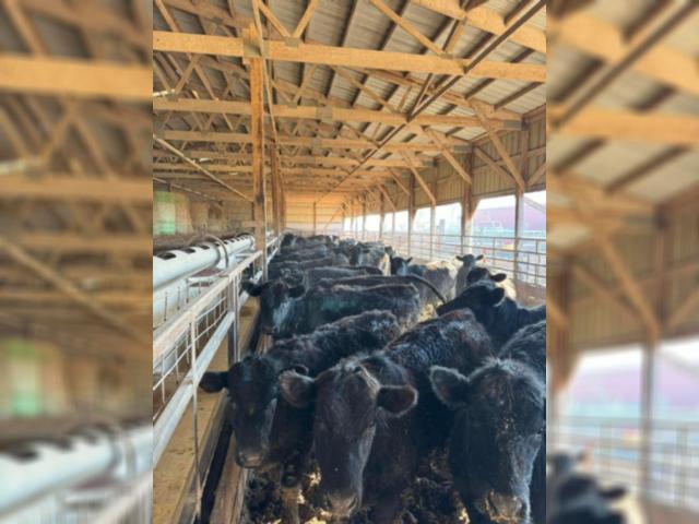 Farming Economy Still in Downward Shift | RiverBender.com