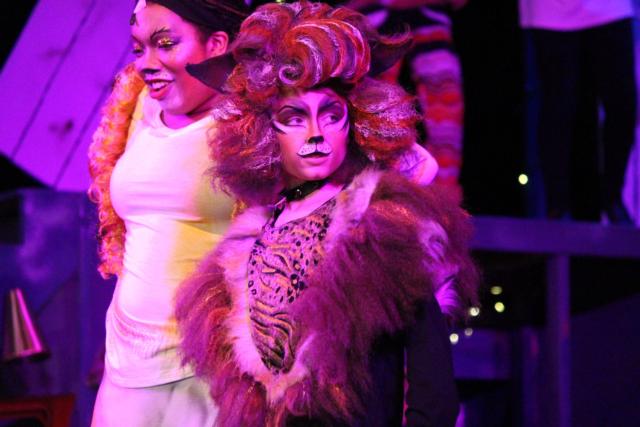 Alton Middle School to enchant audiences in CATS performances this ...