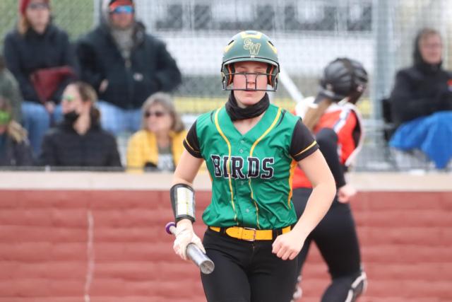 Ryleigh Owens Strikes Out Four, Hurls No-Hitter As Edwardsville ...