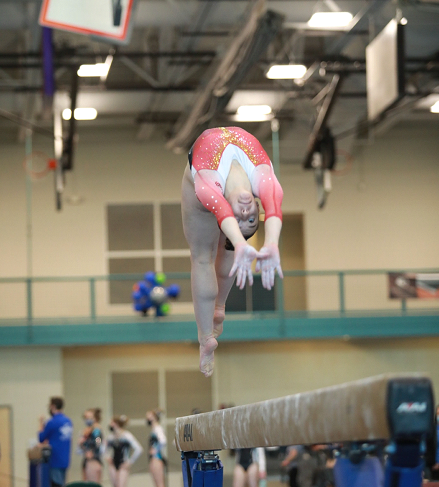 AGI Gymnasts Take Home 21 State And Regional Titles | RiverBender.com