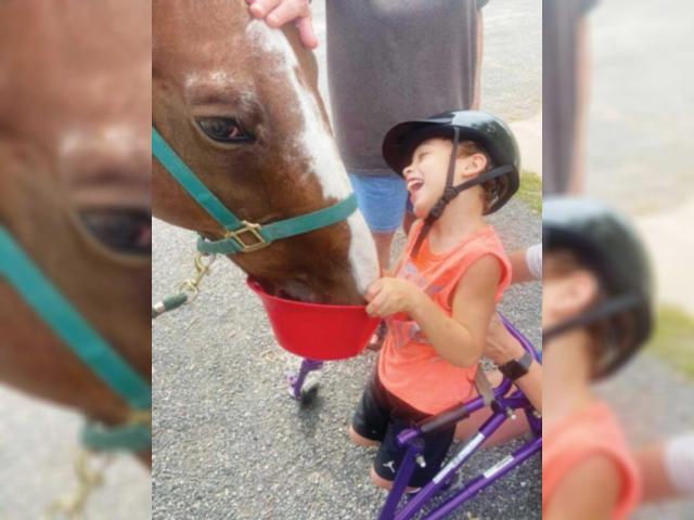 Where Miracles Happen: Chakota TRC Uses Connection Between People and ...