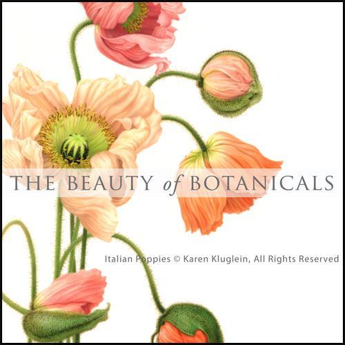 The Beauty of Botanicals Exhibit at OA Gallery showcases contemporary ...