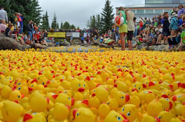It's nearly time again for legendary Duck Race at Raging Rivers ...