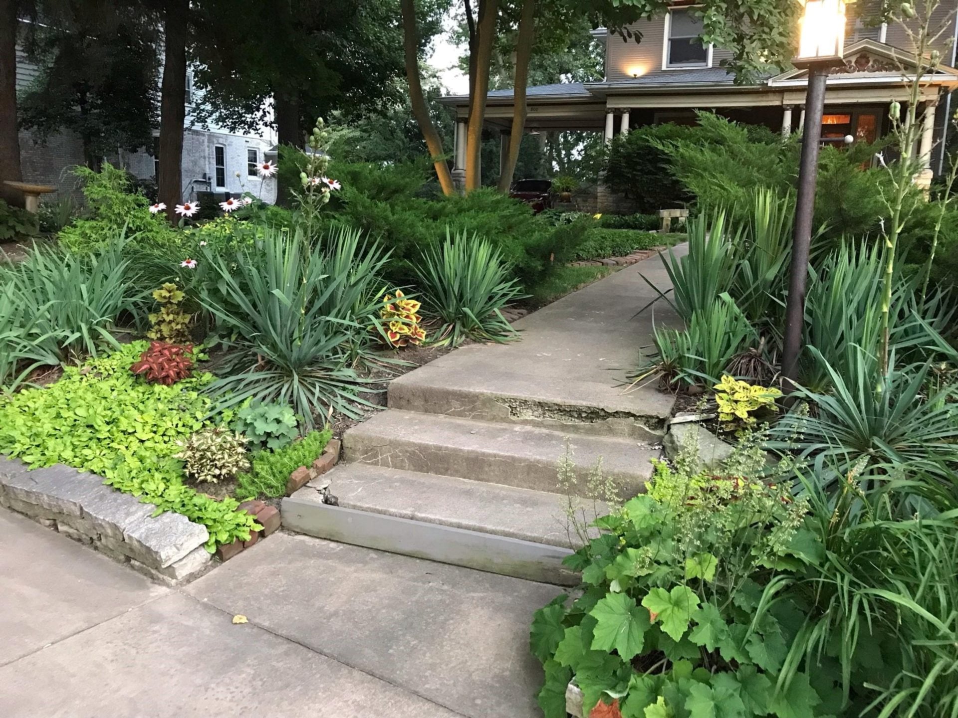 Edwardsville Awards Let You Show Off Your Green Thumb and Celebrate ...