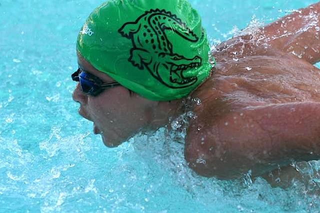 Collinsville Gators-Sunset Hills Stingrays Showcase Talent At Dual Meet ...
