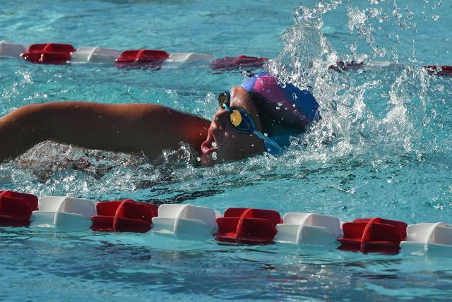 Marlins Set Two New Pool Records On Way To Dominant Win Over Paddlers ...