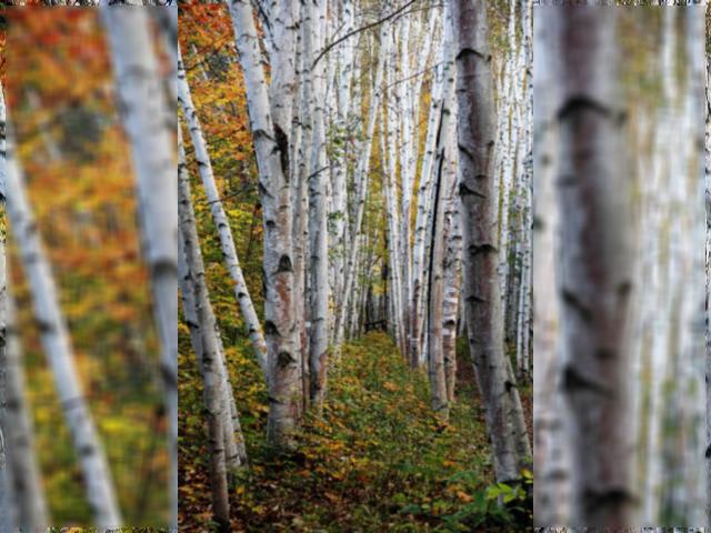 Gary Rondeau Transforms Origami Techniques Into Unique Metal Jewelry ...