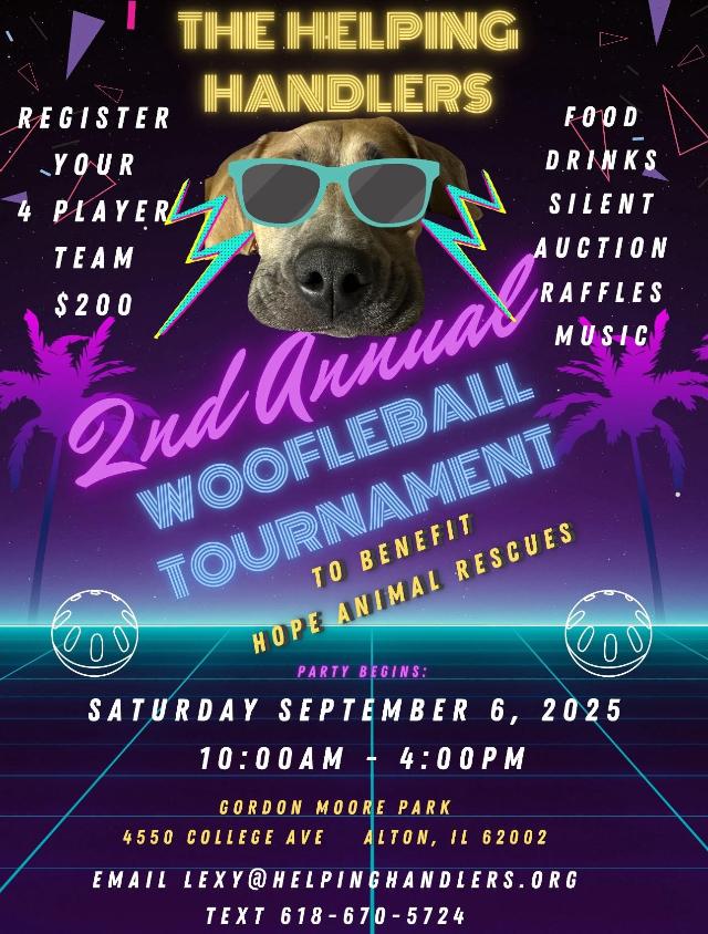 Woofleball Tournament Invites Community to Support Hope Animal Rescues ...