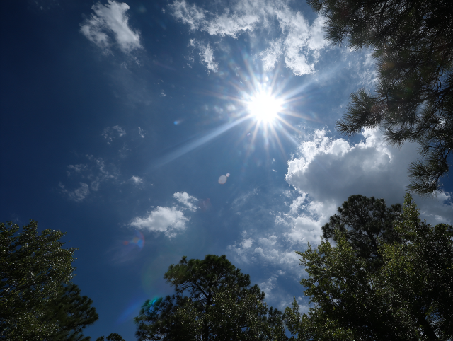 Today's Weather: Partly Sunny with Afternoon Thunderstorms ...
