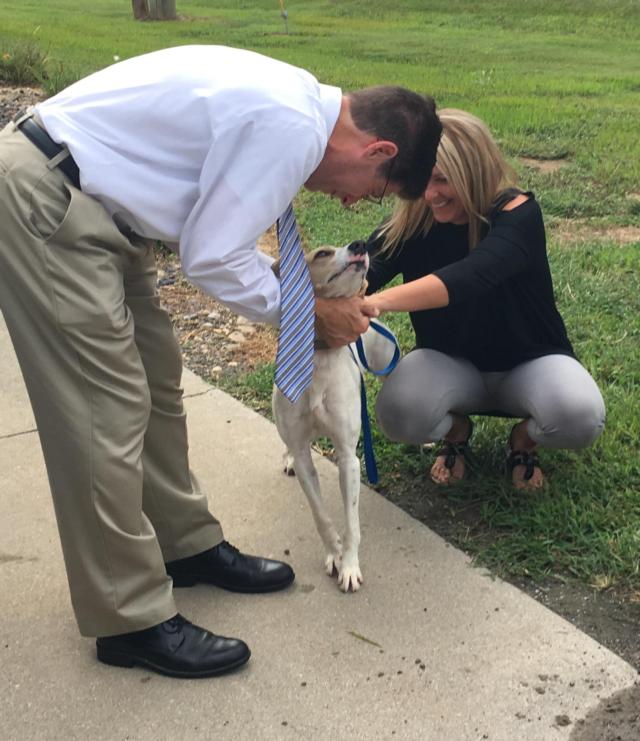 Madison County moving closer to no kill animal shelter goals ...