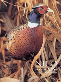 National Hunting and Fishing Day at NILO Farms | RiverBender.com