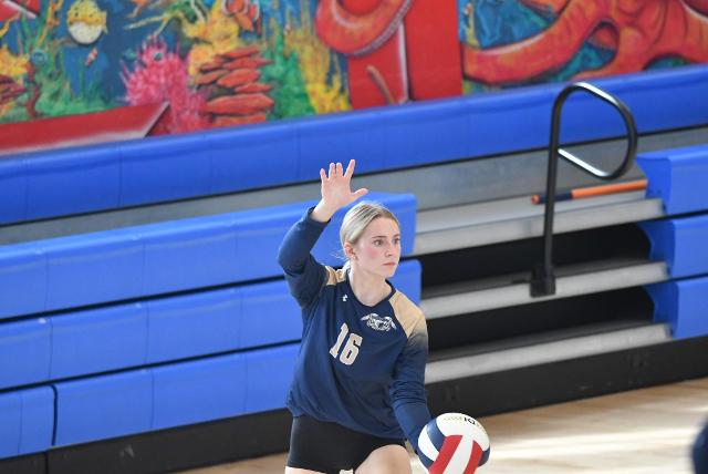 Byron, Carlson, Petri and Kalb Female Athletes Of Month: Father ...