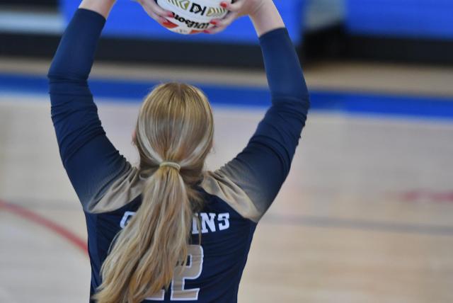 Byron, Carlson, Petri and Kalb Female Athletes Of Month: Father ...