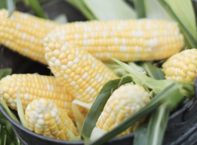 Zeldin To Visit Scott Air Force Base: EPA Partners With Illinois Farm ...