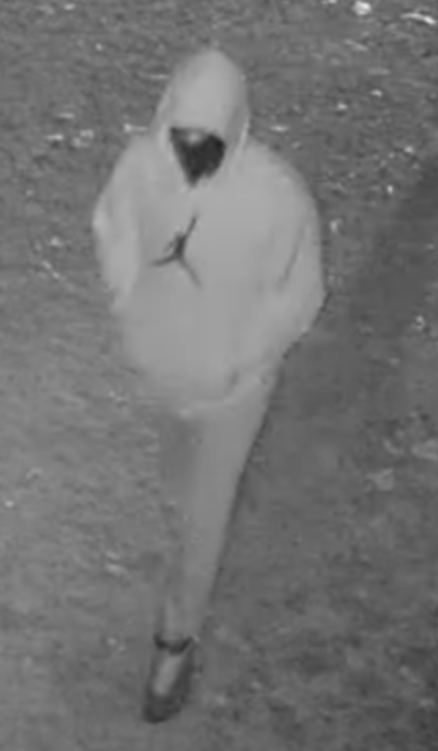 FBI Offers $10,000 Reward For Information In St. Louis Double Homicide ...