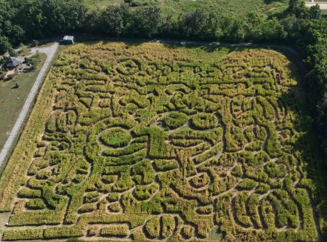 Godfrey Corn Maze To Increase Security Amid Reports Of ‘Unsavory ...
