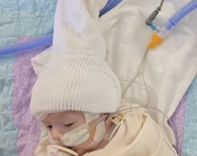 Collinsville Family Faces Medical Crisis With Baby Maverick ...