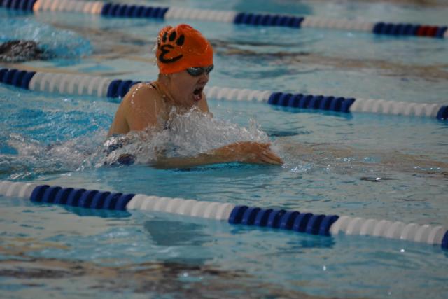 EHS swim team topples two Springfield teams | RiverBender.com