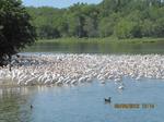 Two Rivers National Wildlife Refuge Celebrates National Wildlife Refuge ...